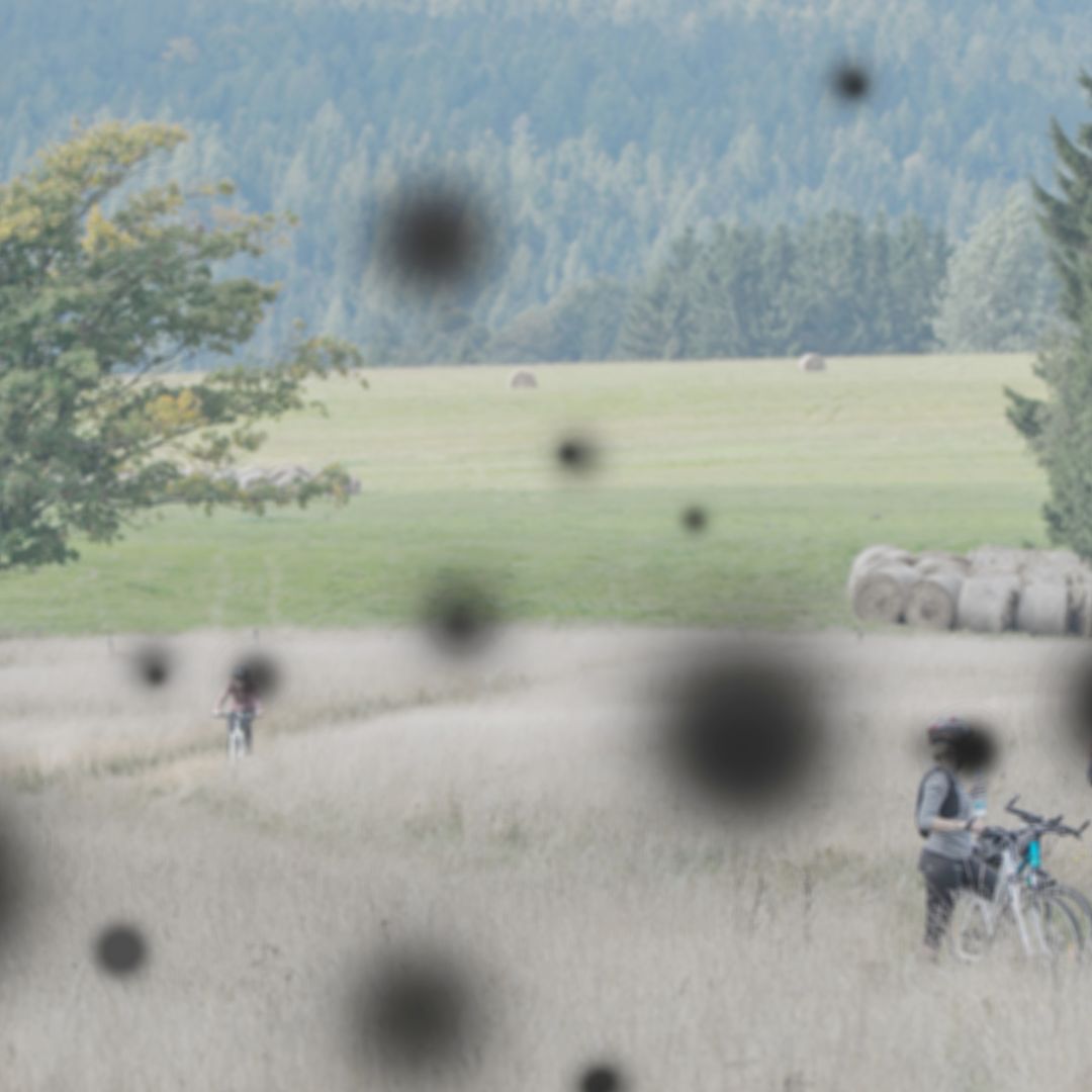 Clínica Ocular Dr. Tirado | Oftalmología | Fuengirola